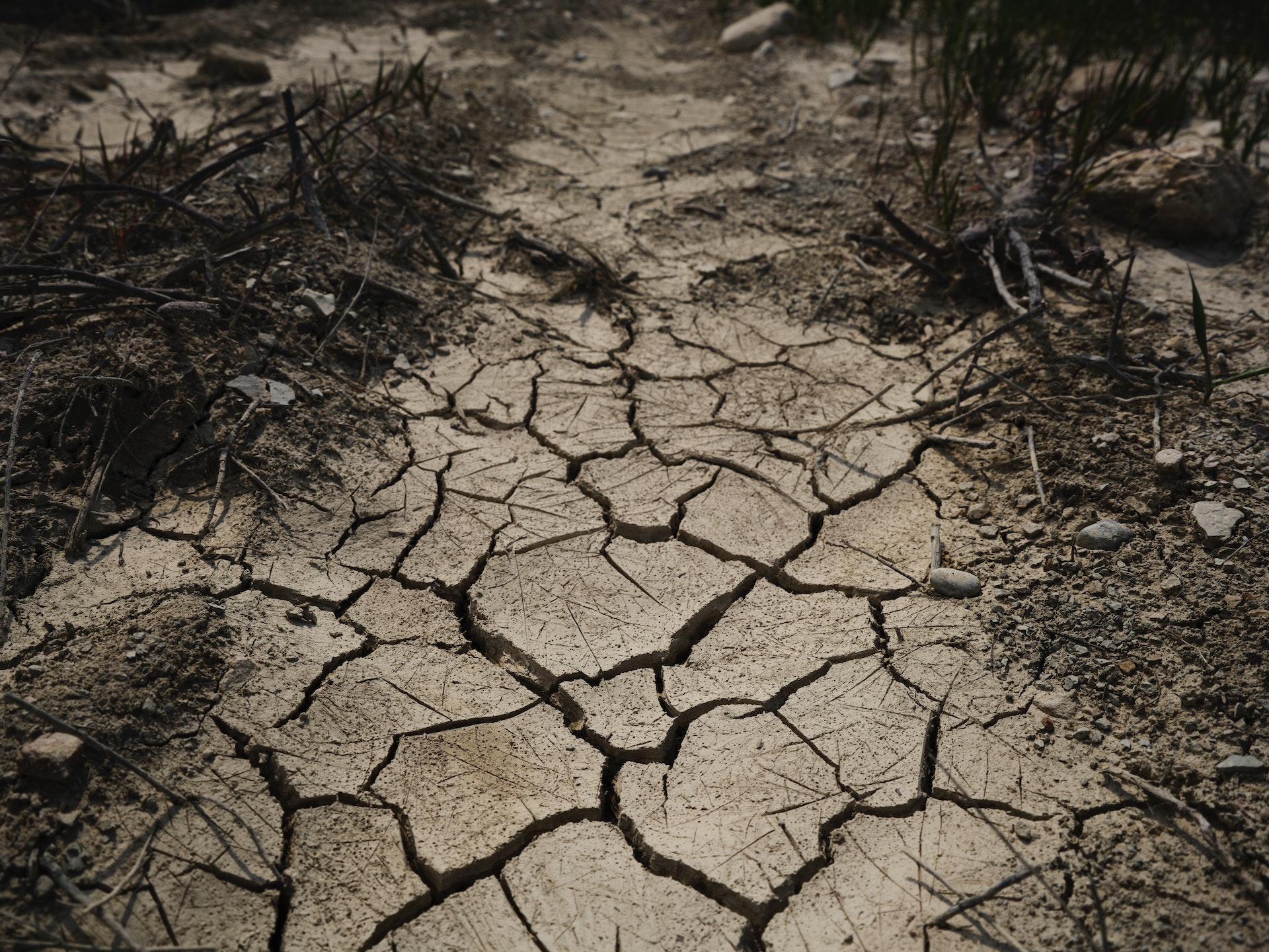 Climate Change Is Driving Millions to the Precipice of a ‘Raging Food ...